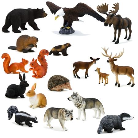 North American Forest Animals List